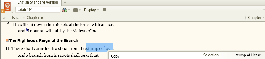 Bug: Superscript footnote letters appear in search string - Logos Community