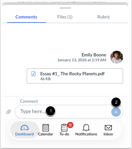 How do I make a comment about an assignment in the Canvas app on my iOS ...
