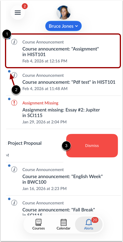 How do I view alerts in the Canvas Parent app on my iOS device ...
