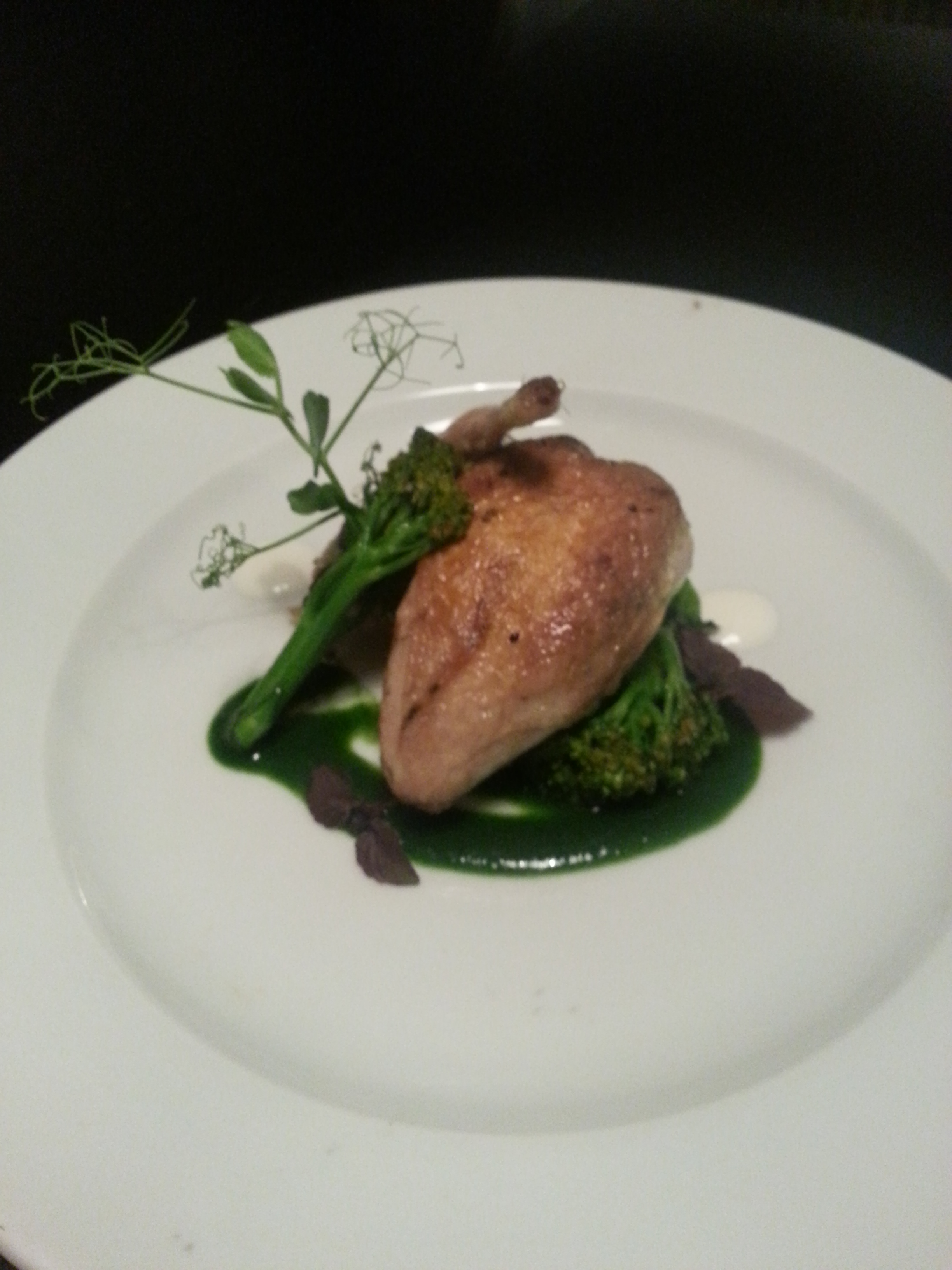 Quail, confit of quail drumstick, broccolini, watercress puree ...