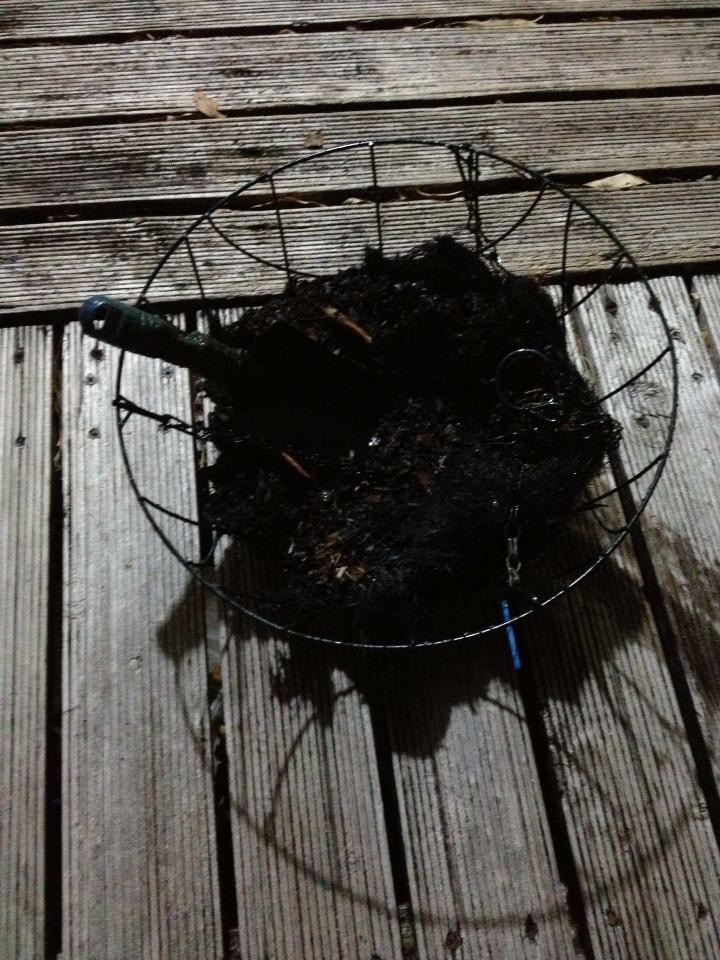 Mozzie sticks and hanging baskets do not mix!!! - Bunnings Workshop ...