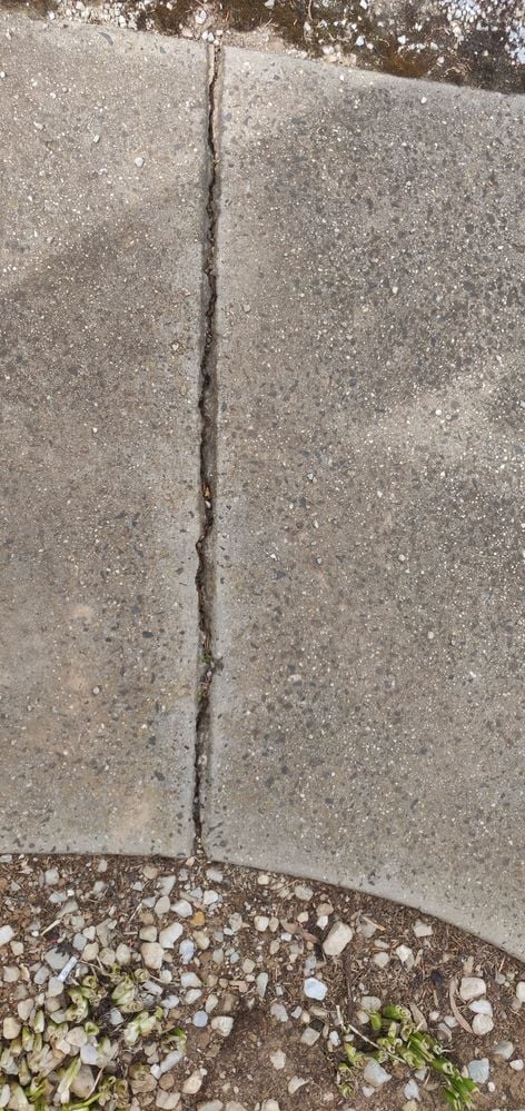 How to fill the gap between concrete slabs in driveway? - Bunnings ...