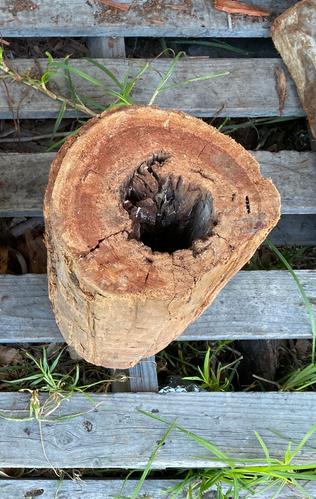 how to cover the base of a hollowed log - Bunnings Workshop community