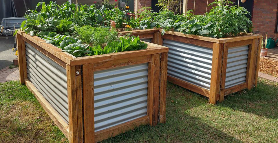 Corrugated iron raised garden beds - Bunnings Workshop community