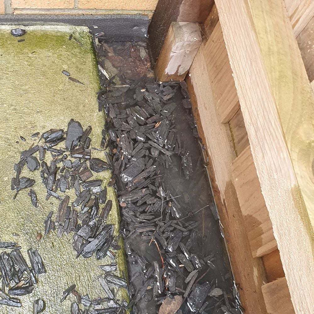 How to improve the drainage near the fence? - Bunnings Workshop community