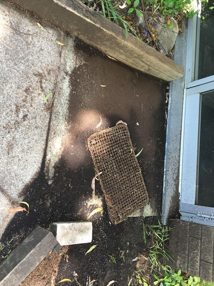 Muddy runoff down slope - Bunnings Workshop community