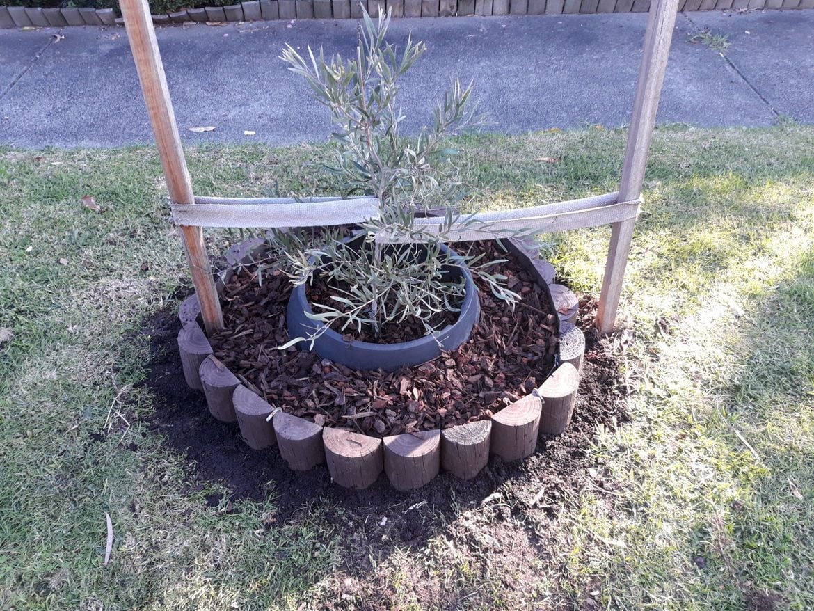 DIY garden edging using timber poles - Bunnings Workshop community