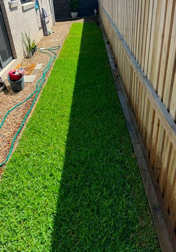 Before and after Bunnings Buffalo turf - Bunnings Workshop community