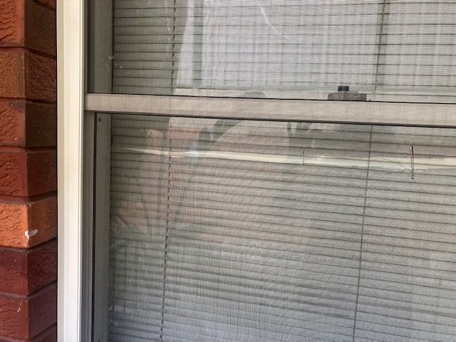 How to replace a ripped fly screen? - Bunnings Workshop community