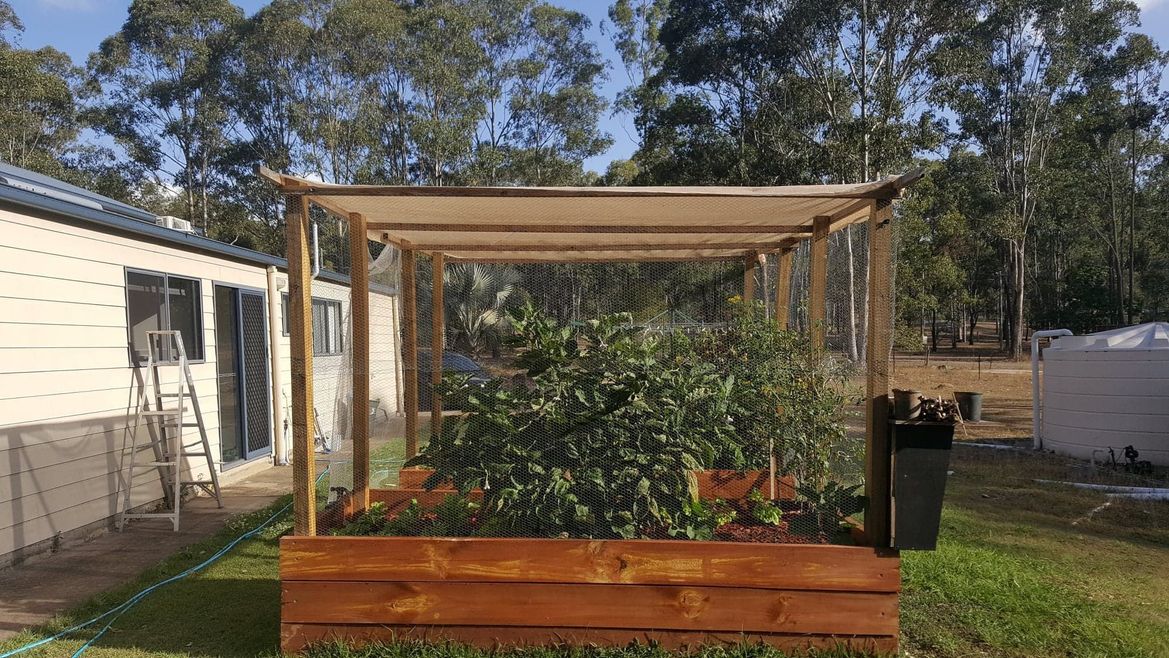 Backyard makeover with paving and fruit trees - Bunnings Workshop community