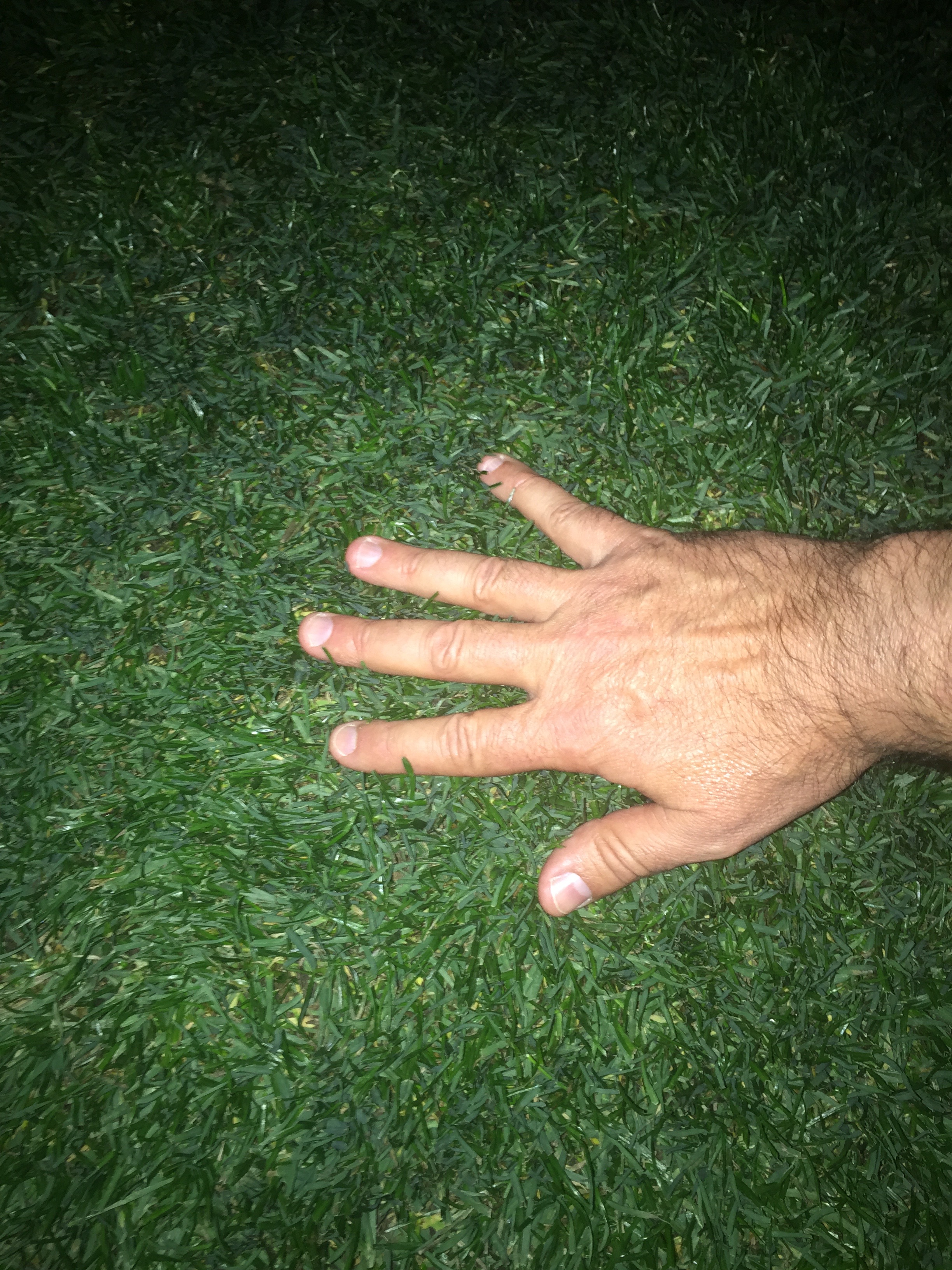 MCG Turf - Bunnings Workshop community