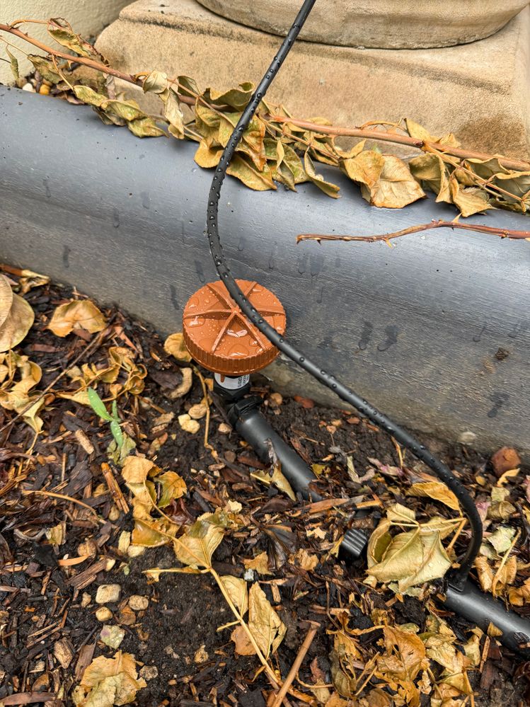 How to fix irrigation drip system flushing valve? - Bunnings Workshop ...