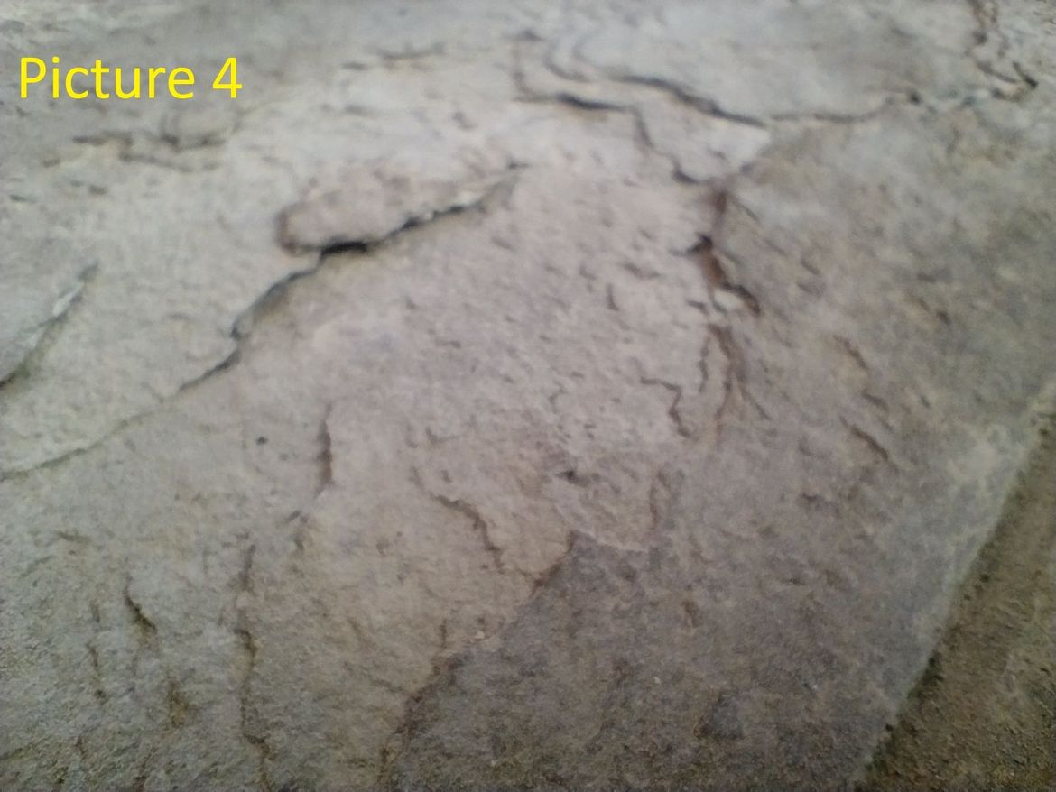 How to repair patio concrete flaking? - Bunnings Workshop community