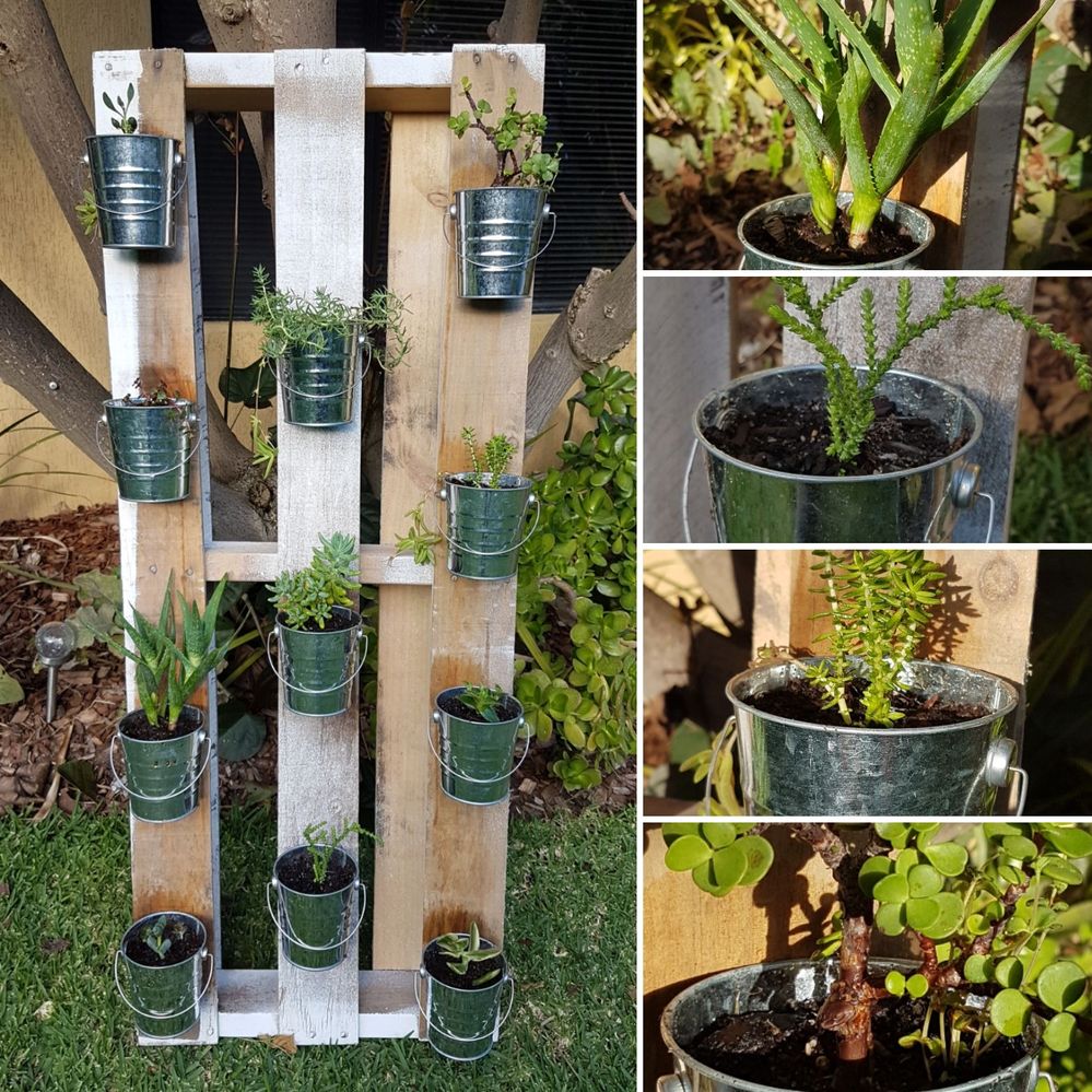 Pallet planter - Bunnings Workshop community