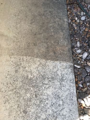 How to remove mould from concrete apron? - Bunnings Workshop community