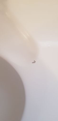 How to fix a chip in bathroom vanity? - Bunnings Workshop community