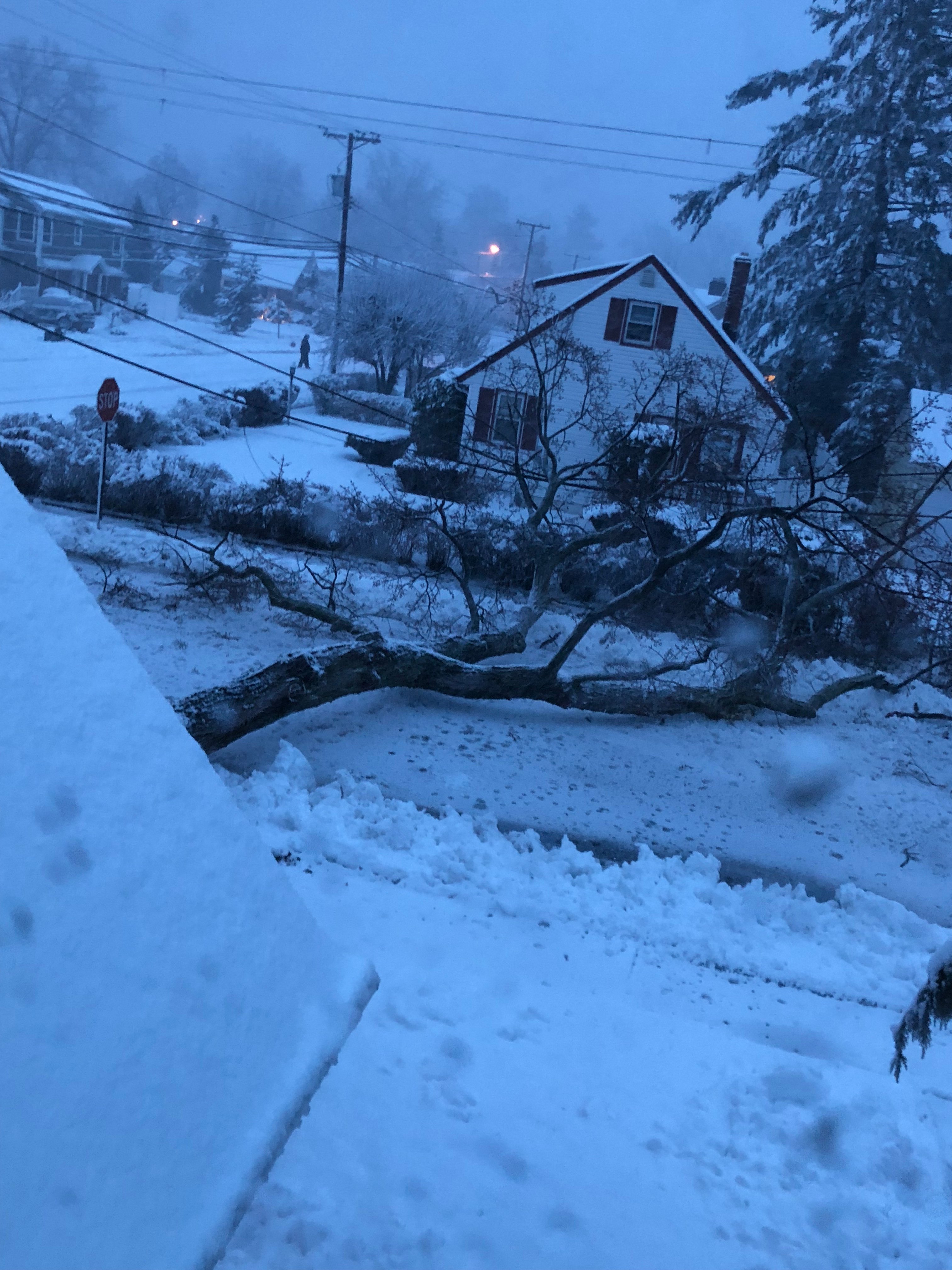 Downed Verizon Fios Lines + NO Internet, TV or Phone - verizon