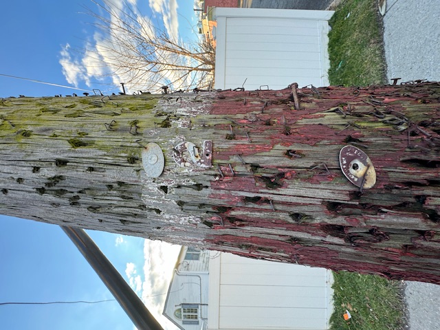 Pole Replacement - verizon